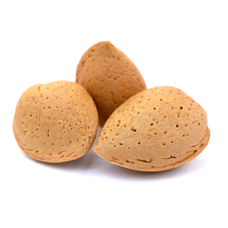 In-shell Almonds - JSS Almonds